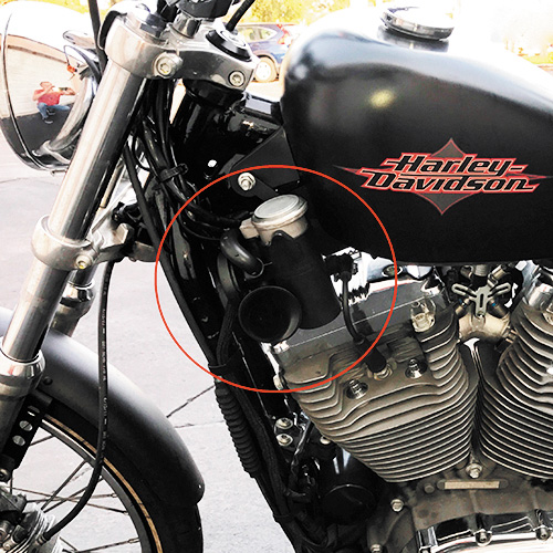 Screaming Banshee Motorcycle Horns - Motorcycle Rider News