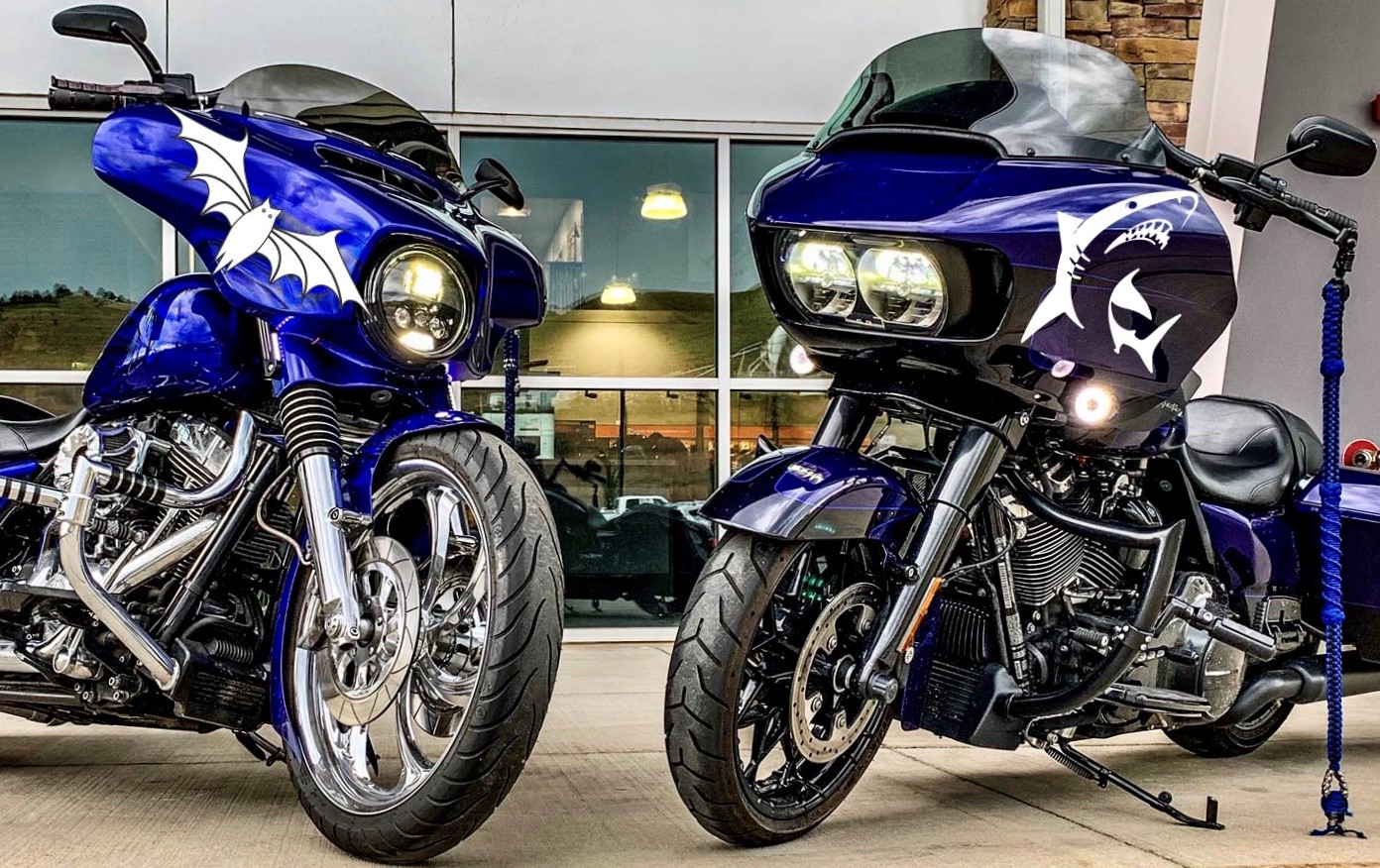Sharks vs. Bats - Motorcycle Rider News
